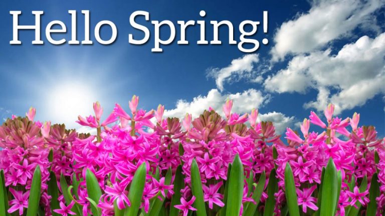 Spring Brings New Life Back To The World – Teresa Smith